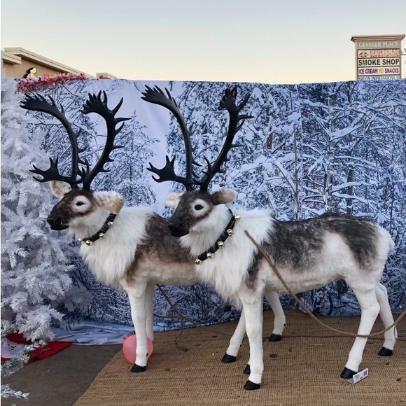 Holiday | I Ideal Christmas Moose Decoration Measurements Around 44 X56 ...